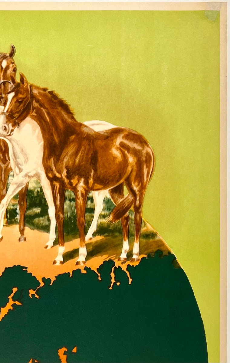 DUBLIN HORSE SHOW Poster IRISH INTERNATIONAL AIRLINES - AER LINGUS ...