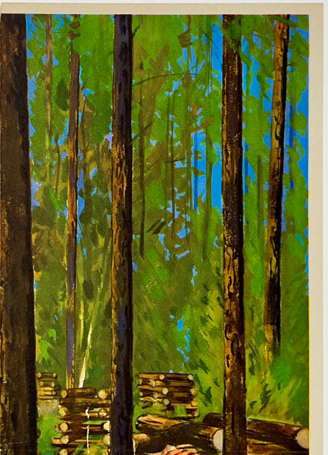 Original Vintage Poster THIN YOUR CROWDED TREES – CHICAGO VINTAGE POSTERS