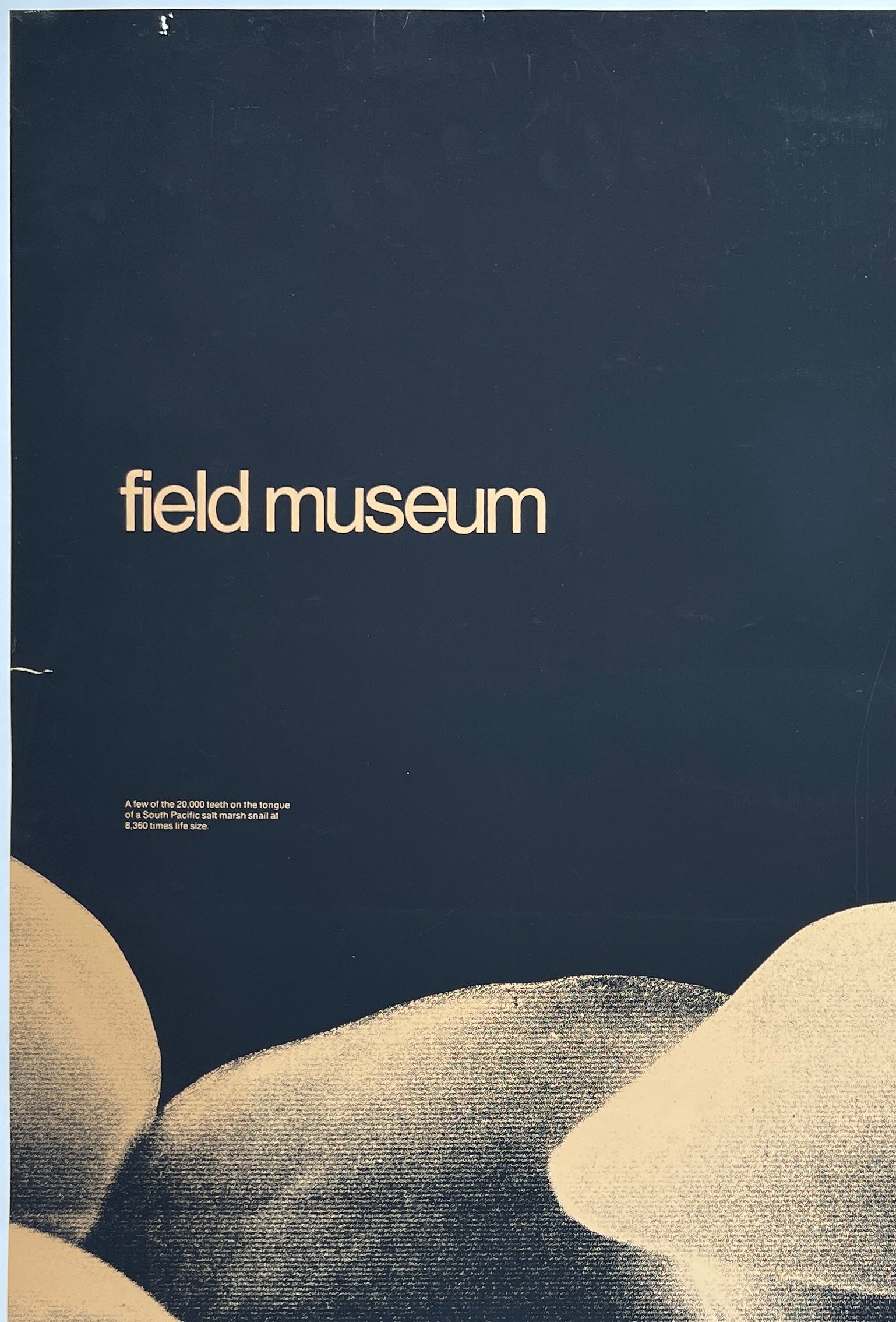 FIELD MUSEUM Original Vintage Poster BELOW MAN'S VISION 1971 – CHICAGO ...